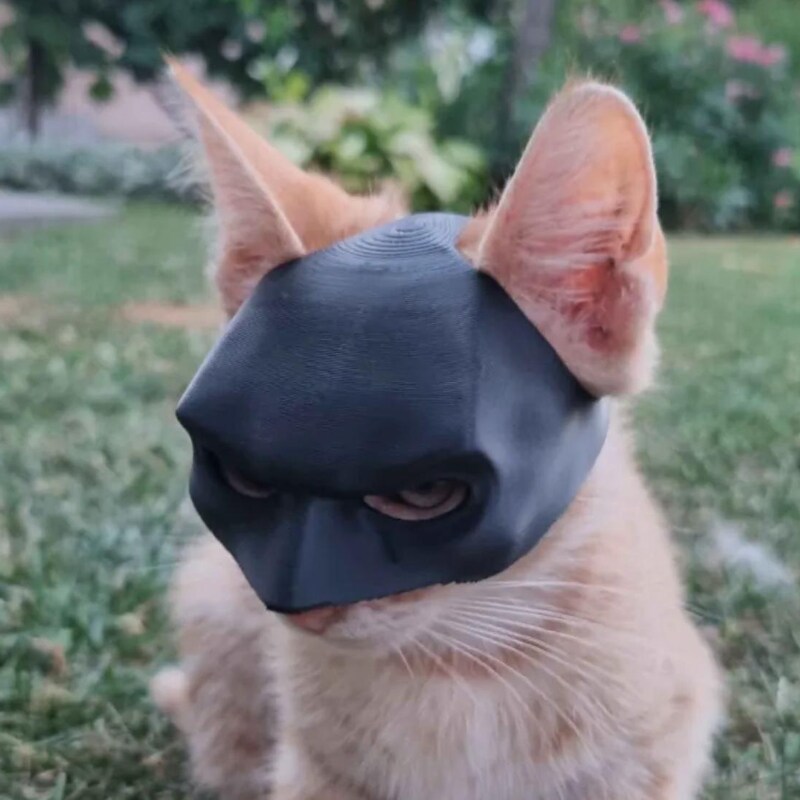 Bat Cat Mask Bat Paper Mask Printable Halloween Coloring Costume Craft ...