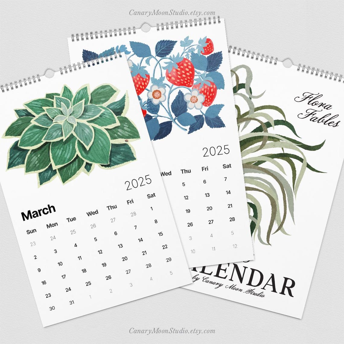 Flora Fables Wall Calendar 2025 With Hand Drawn Illustrations for Each Month, Abstract Flora ...