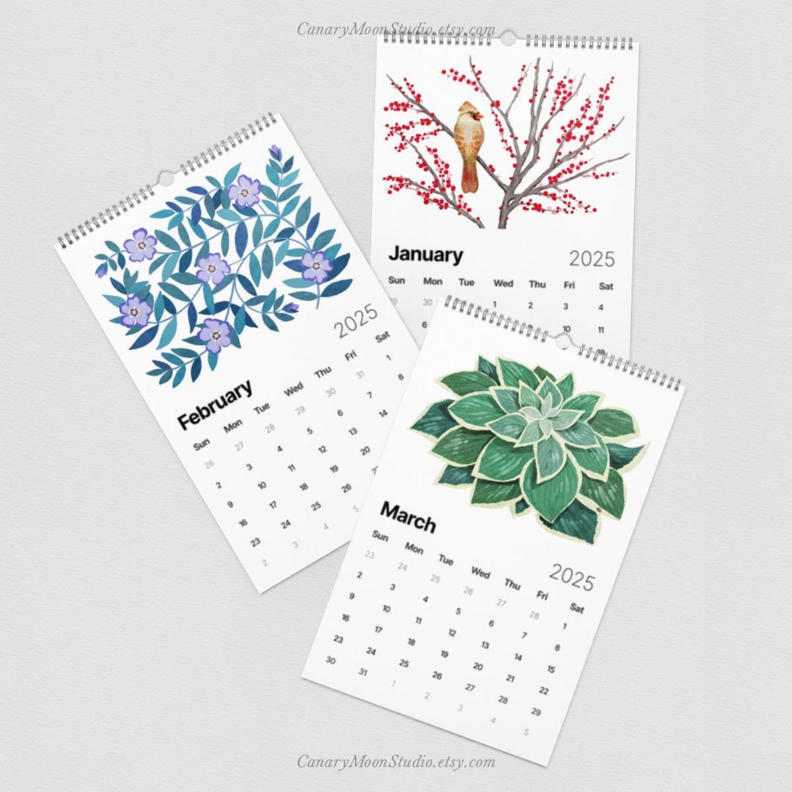 Flora Fables Wall Calendar 2025 With Hand Drawn Illustrations for Each Month, Abstract Flora ...