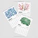 Flora Fables Wall Calendar 2025 With Hand Drawn Illustrations for Each Month, Abstract Flora ...