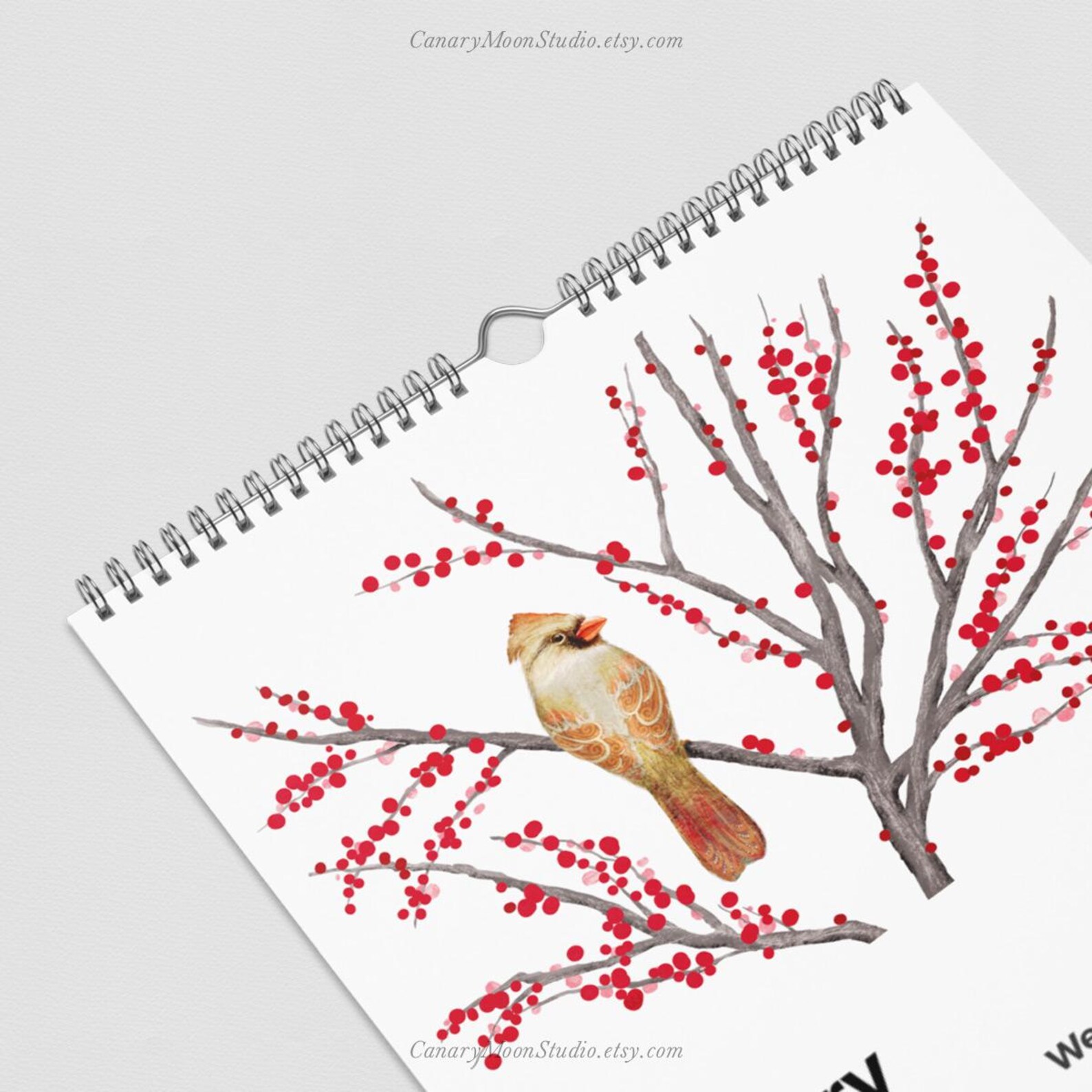 Flora Fables Wall Calendar 2025 With Hand Drawn Illustrations for Each Month, Abstract Flora ...