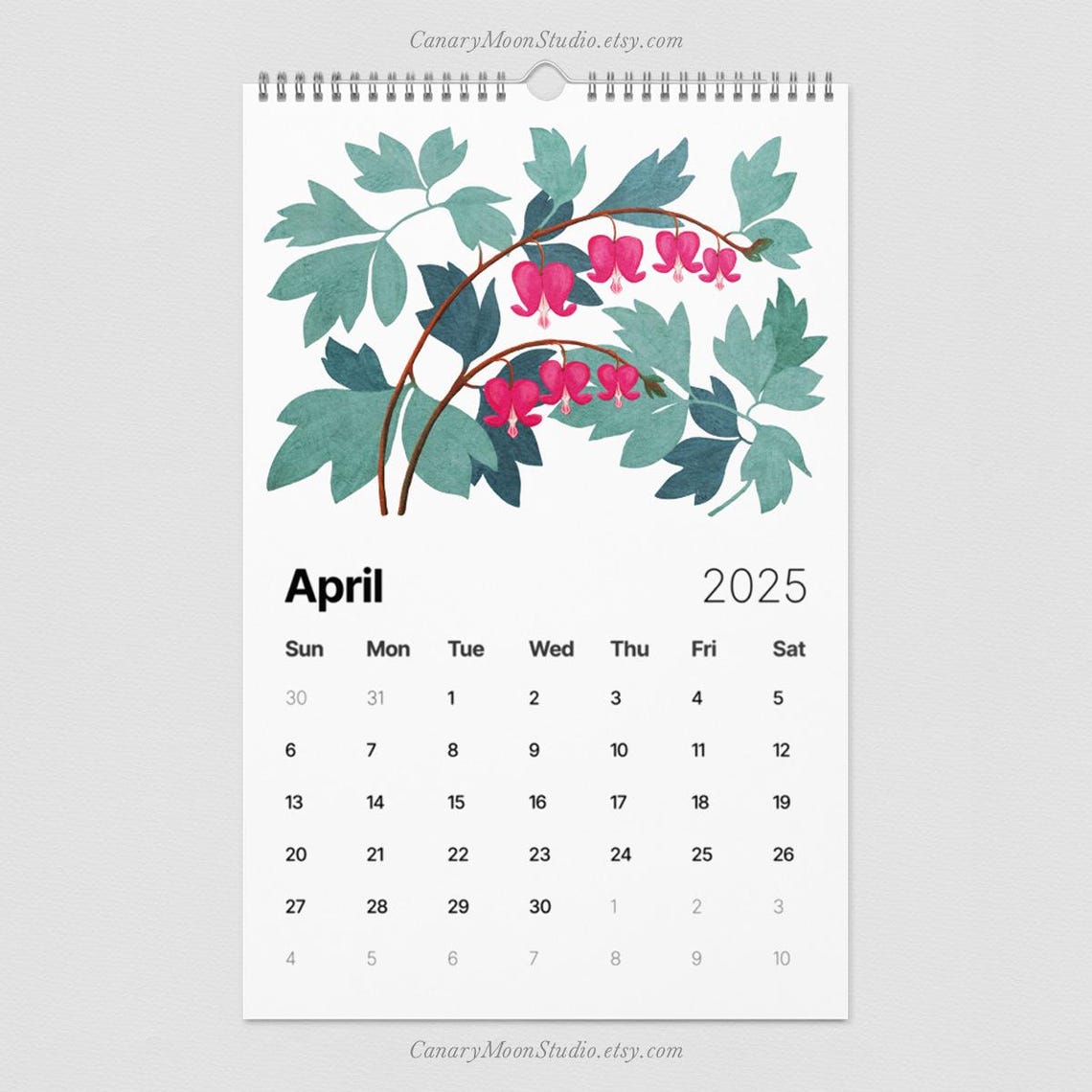Flora Fables Wall Calendar 2025 With Hand Drawn Illustrations for Each Month, Abstract Flora ...