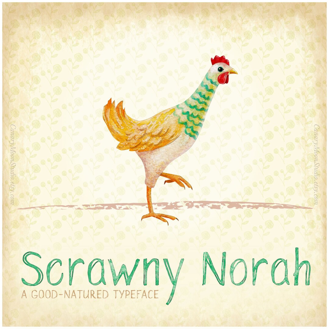 Scrawny Norah Handwritten Typeface, Digital Download Desktop Commercial ...