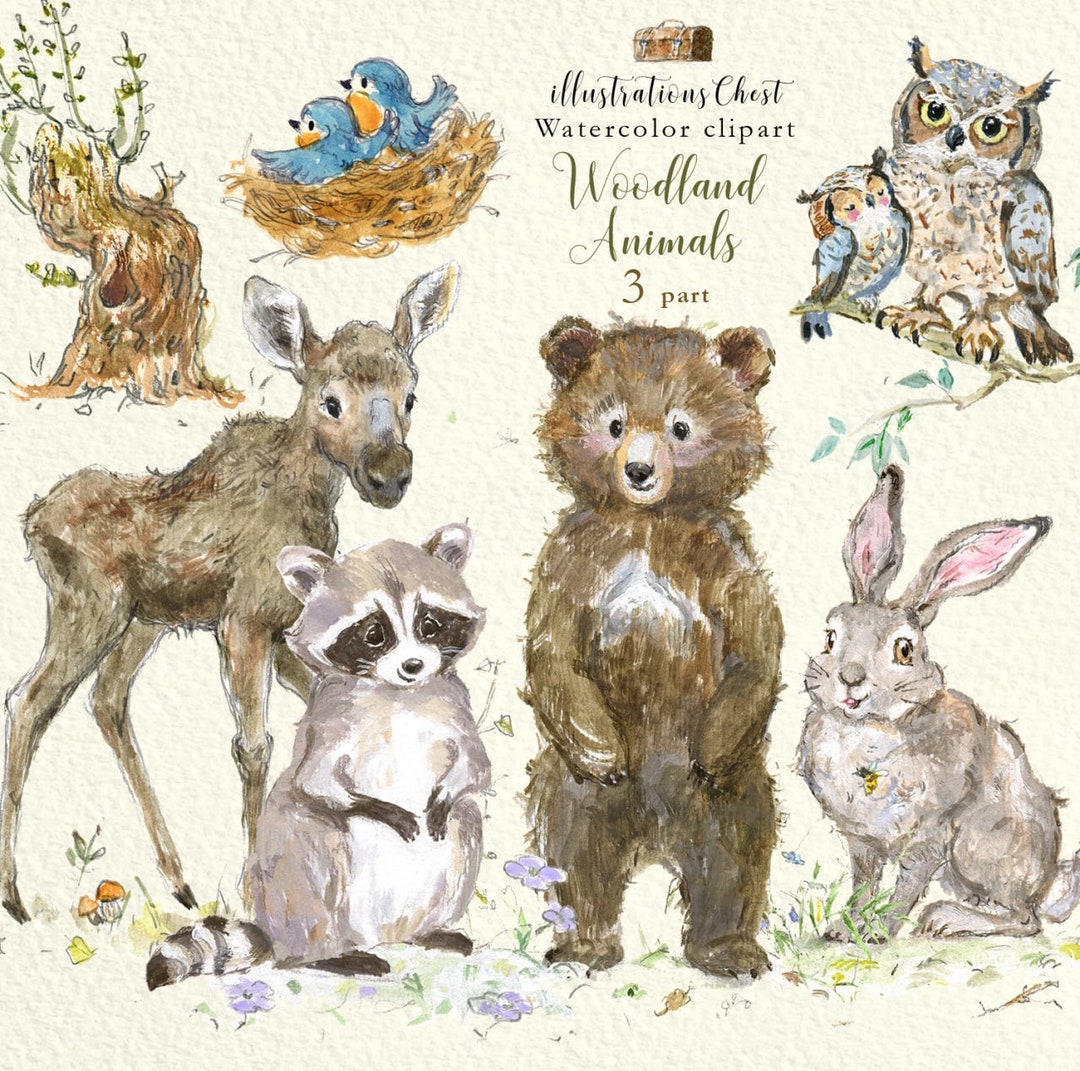 Fabulously Beautiful Animals Clipart Woodland Whimsical Clipart Part 3 ...