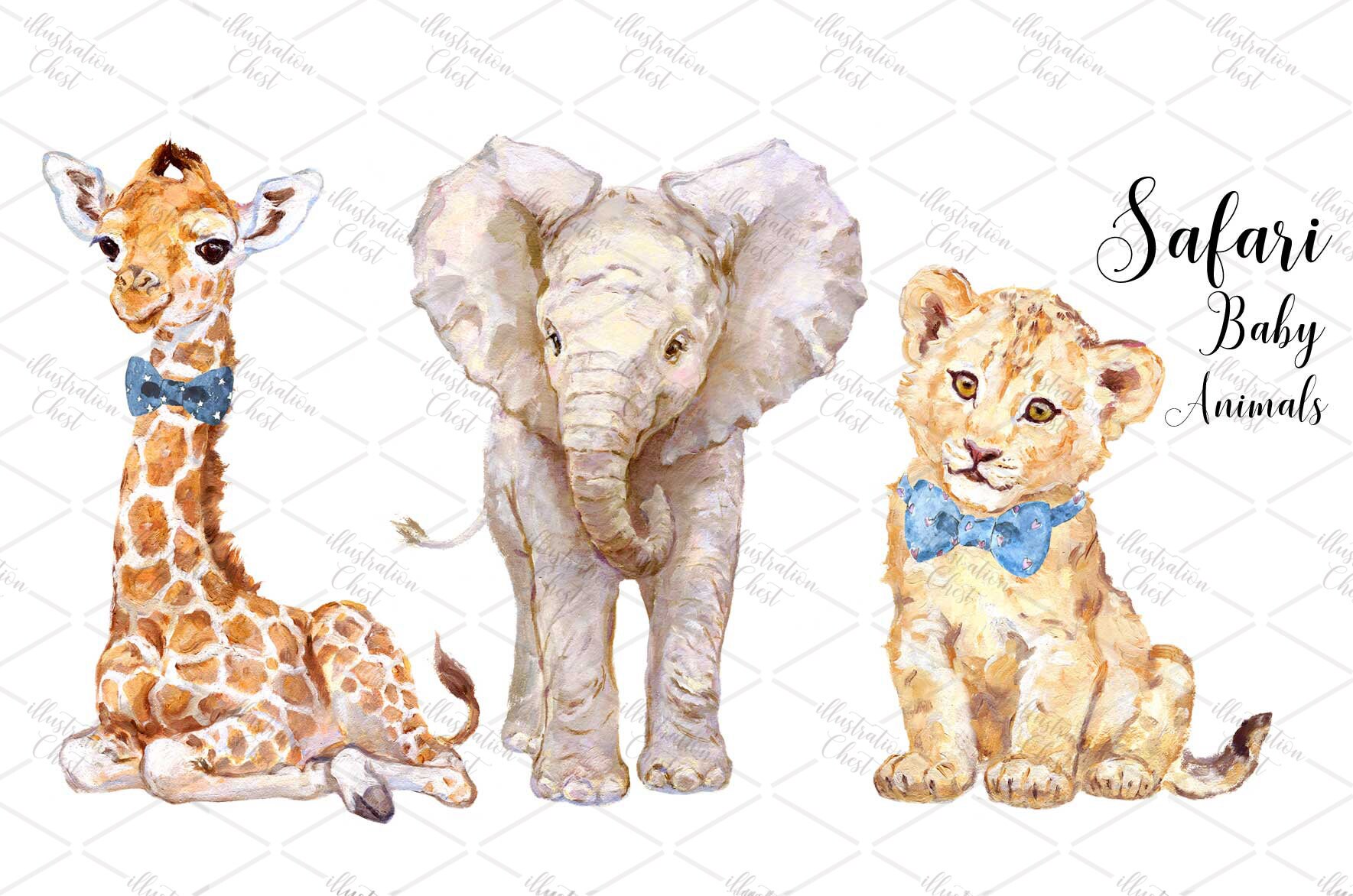 Safari. Lovely Giraffe, Lion, Elephant Zoo Clipart Watercolor, Jungle ...