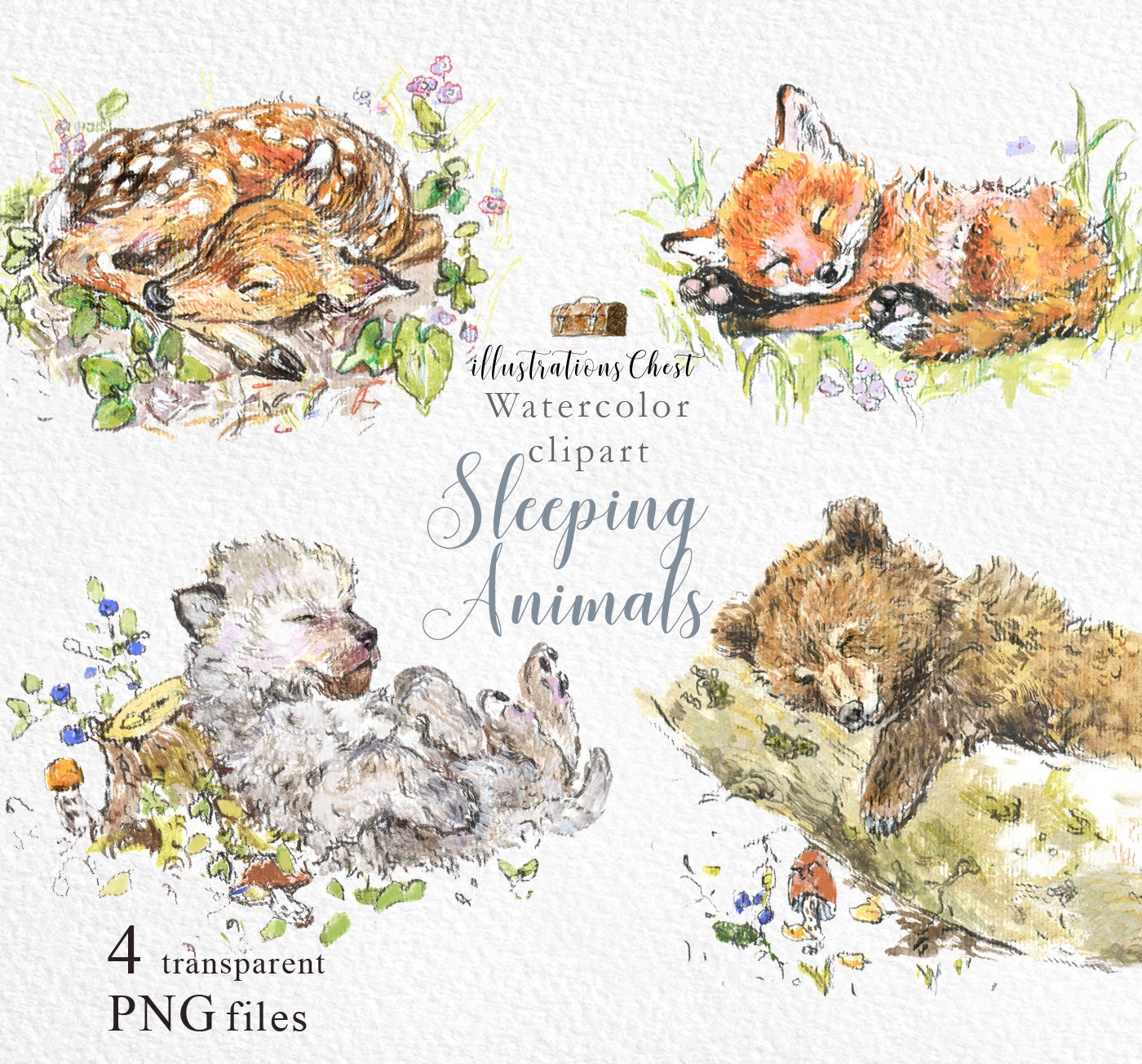 Sleeping Animals Clipart