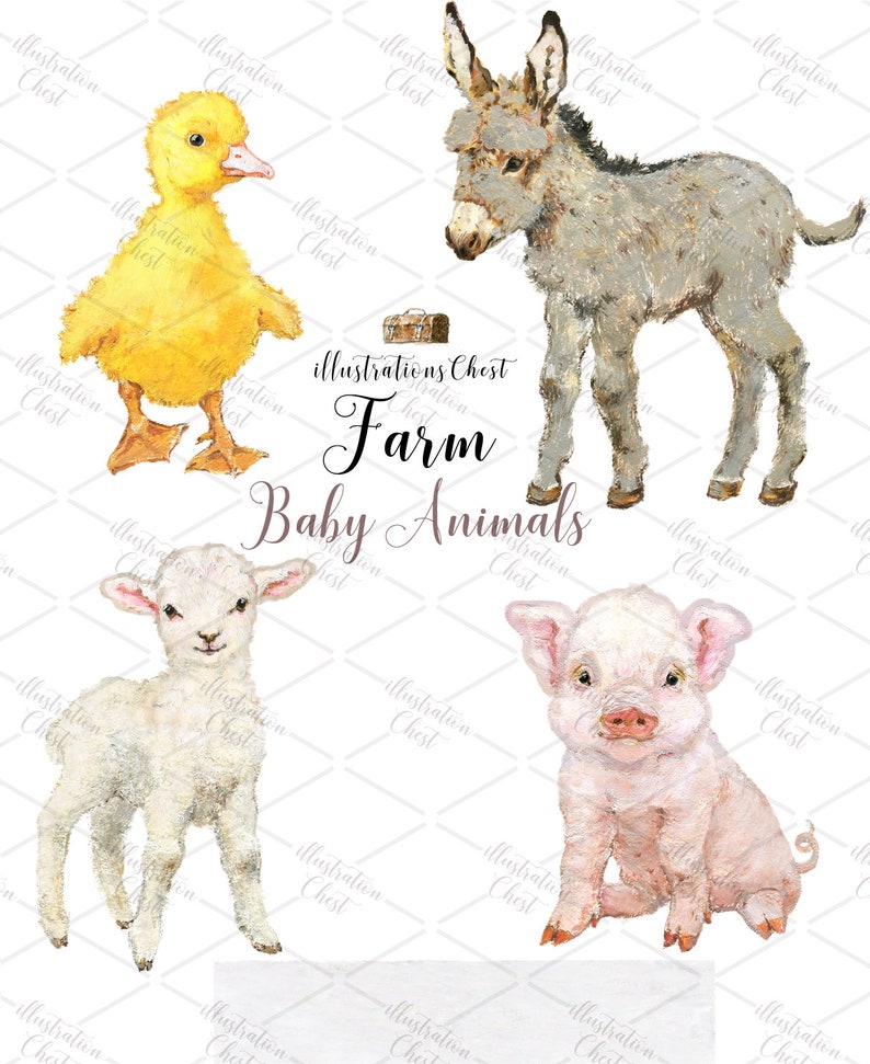 Farm Animals Family Clipart Donkey Pig Duckling Lamb, Watercolor ...