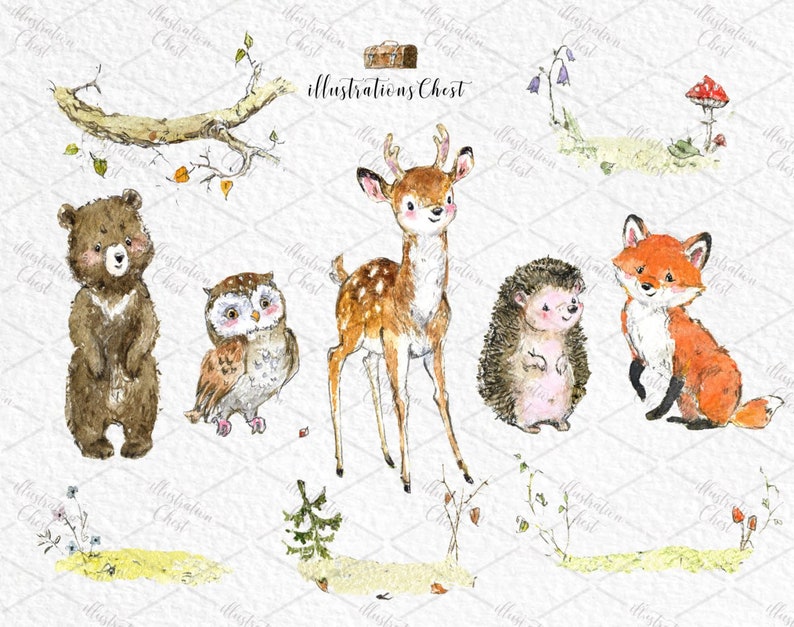 Fox, Bear, Deer, Owl Watercolor Clipart, Wild Forest Animals ...