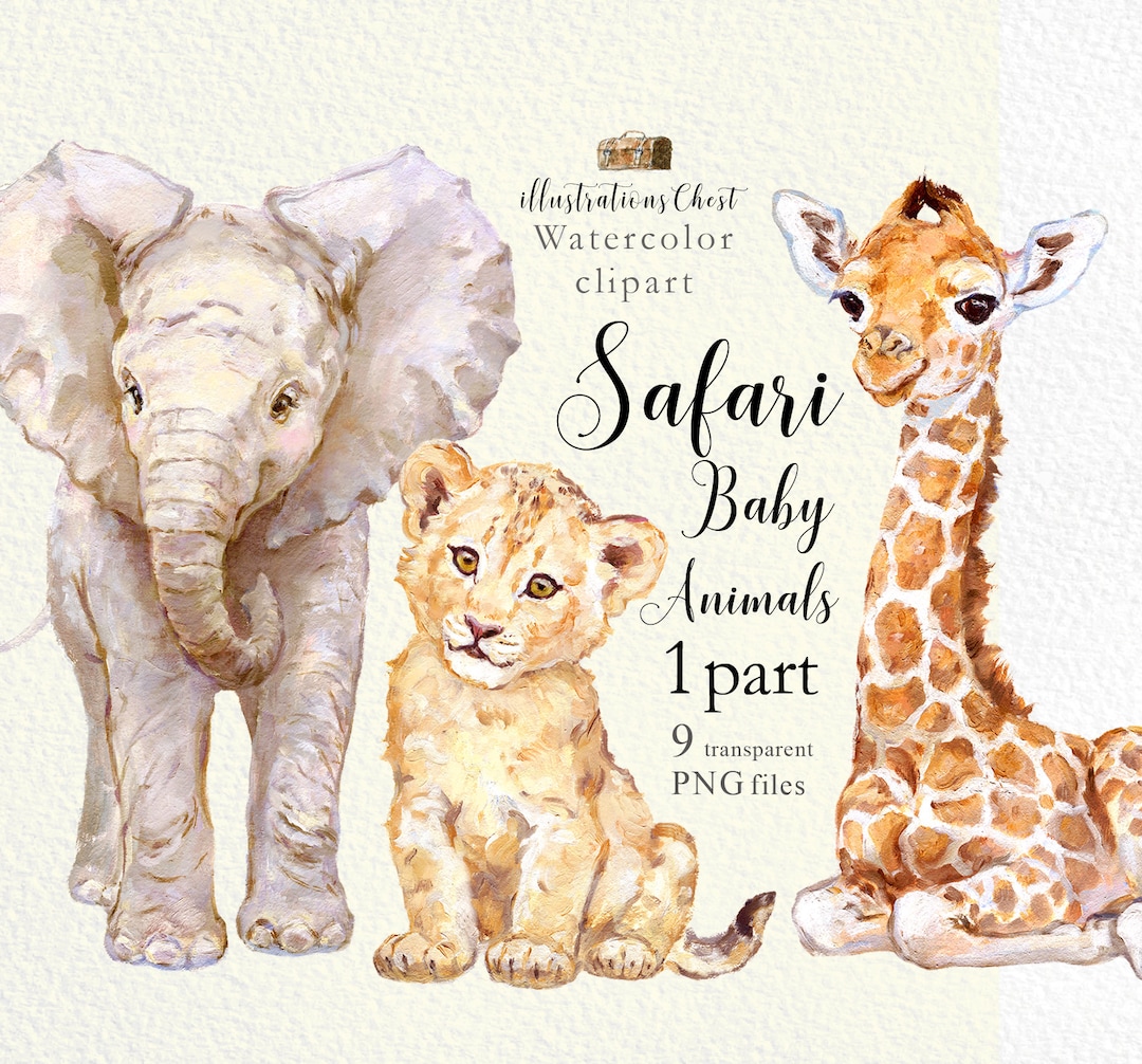 Safari. Lovely Giraffe, Lion, Elephant Zoo Clipart Watercolor, Jungle ...