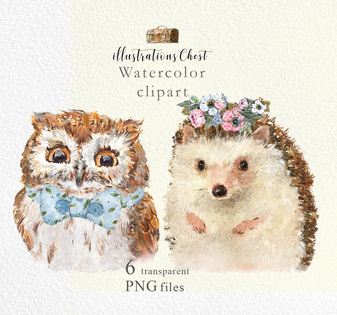 Cute Hedgehog - Owl Clipart Watercolor Animals Png Owl Nursery Art ...