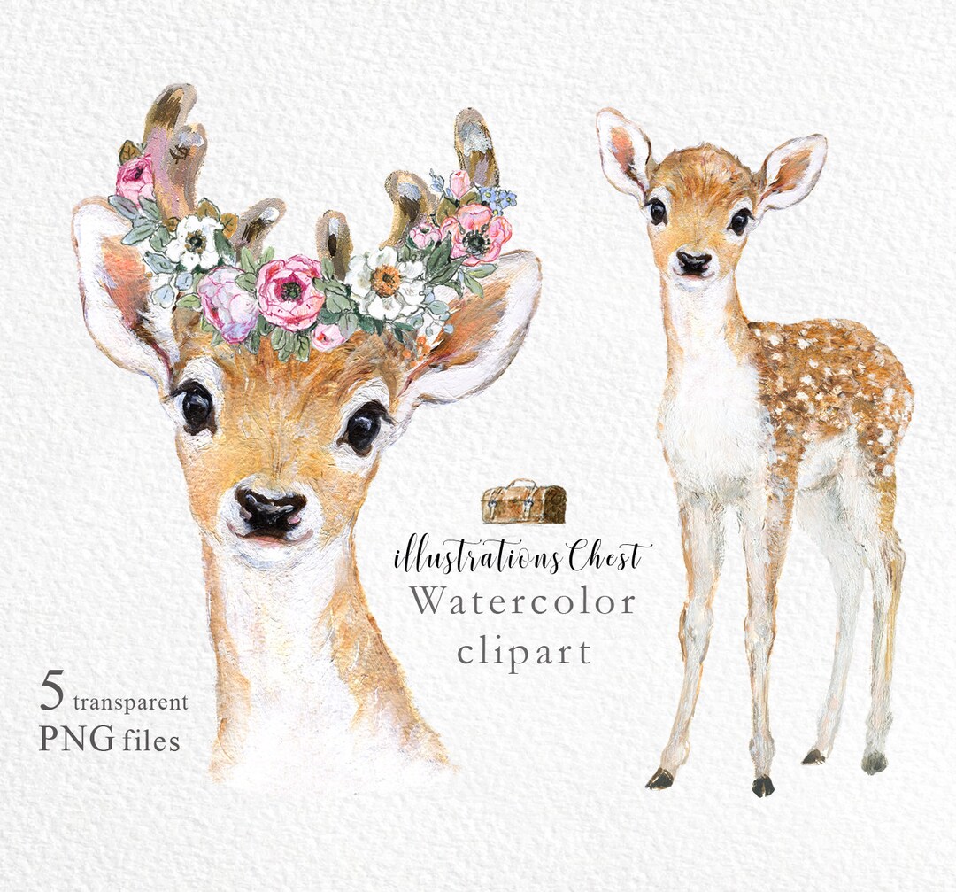 Baby Deer Princess Clipart. Deer Png, Cute Watercolor Forest Animals ...