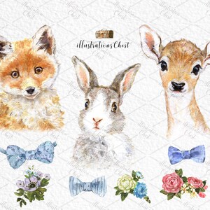 Fox and Bunny Watercolor Clipart. Fox Clipart, Cute Animals Clipart ...