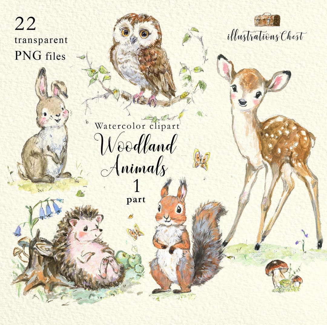 Woodland. Whimsical Animals Owl Squirrel Clipart Watercolor Forest ...