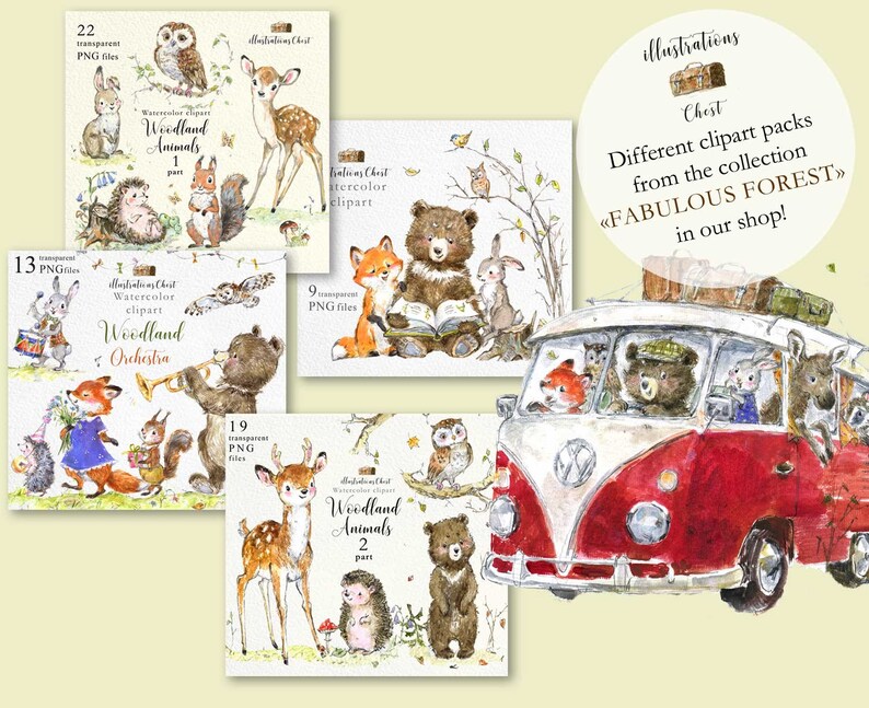 Woodland. Whimsical Animals Owl Squirrel Clipart Watercolor - Etsy