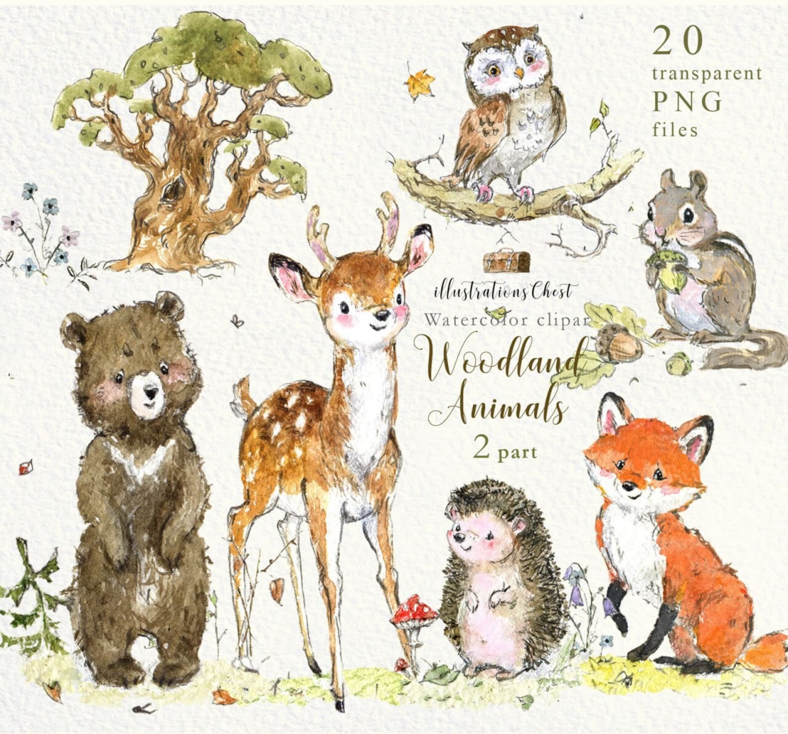 Fox, Bear, Deer, Owl Watercolor Clipart, Wild Forest Animals ...