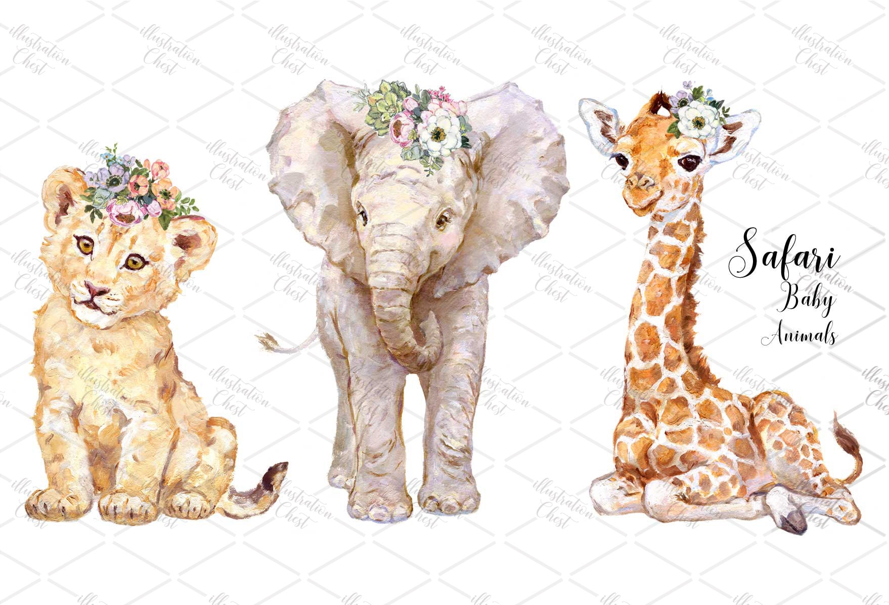 Safari. Lovely Giraffe, Lion, Elephant Zoo Clipart Watercolor, Jungle ...