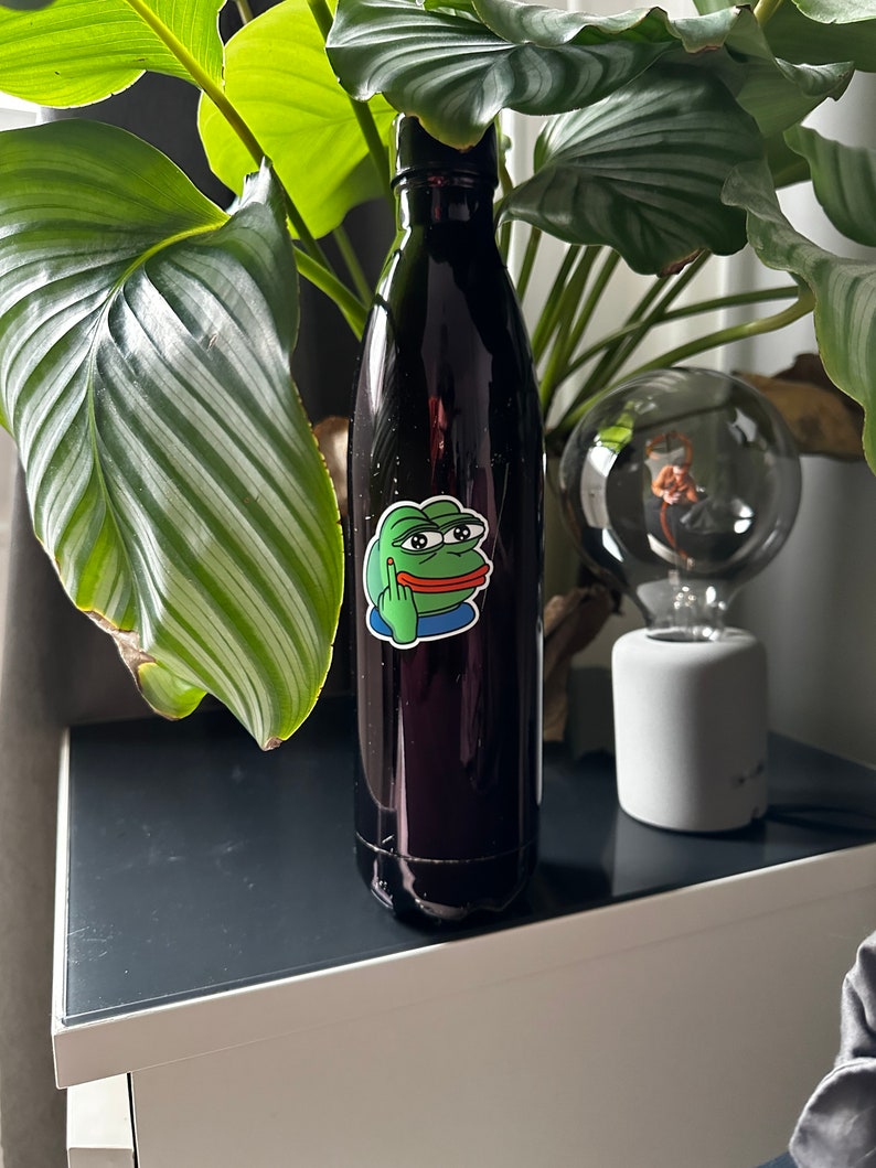 Pepe The Frog Meme Sticker Der Frosch Mittelfinger - Etsy.de