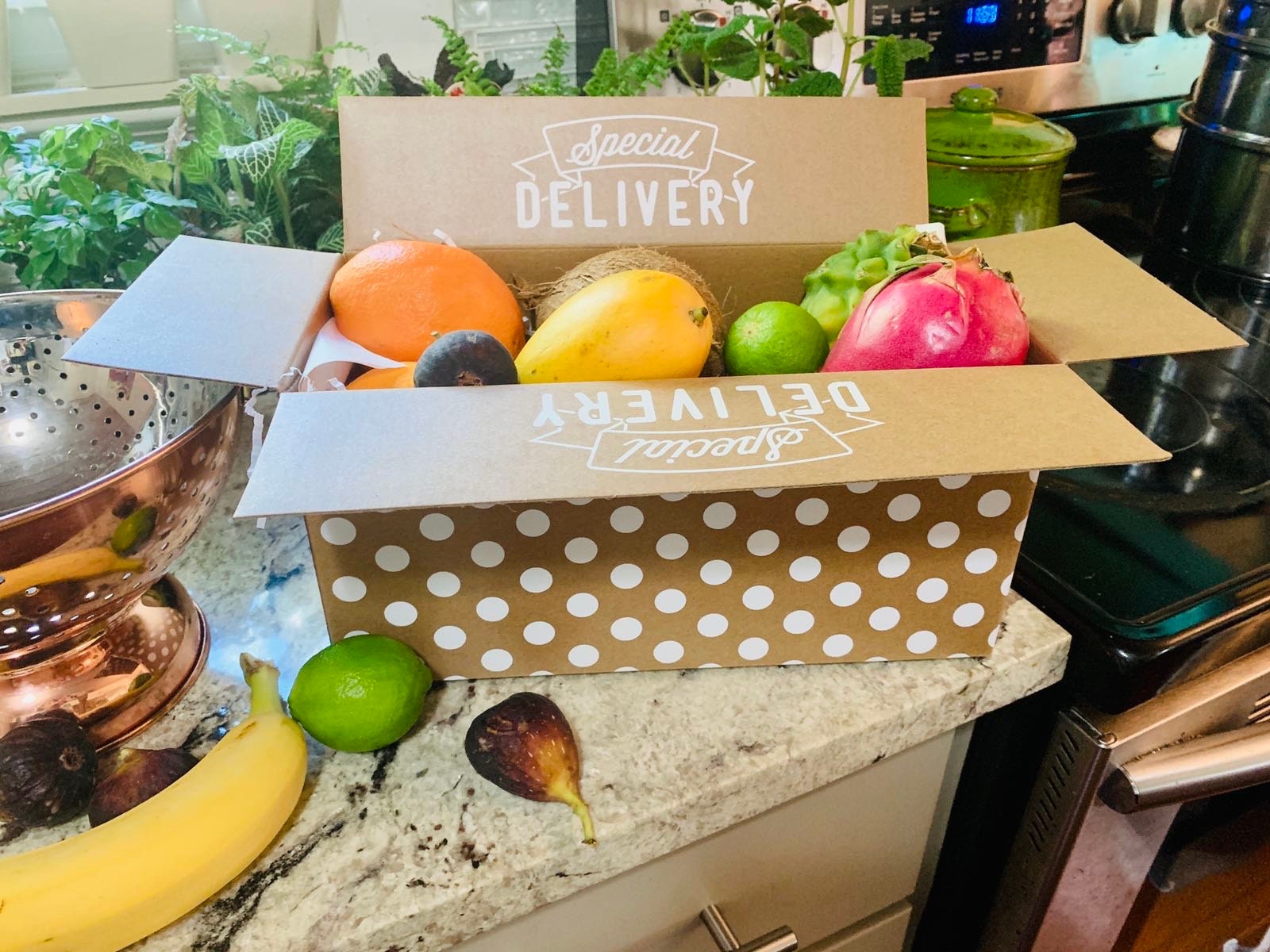 Florida Fruit Box - 4-5 Pounds Fresh Fruit-any Occasion-custom Made ...