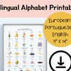 European Portuguese Alphabet Flash Cards, Bilingual ABC Cards - Etsy