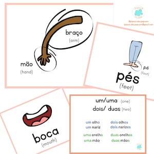 Bilingual Flashcards, Portuguese Body Parts Vocabulary, Portuguese ...