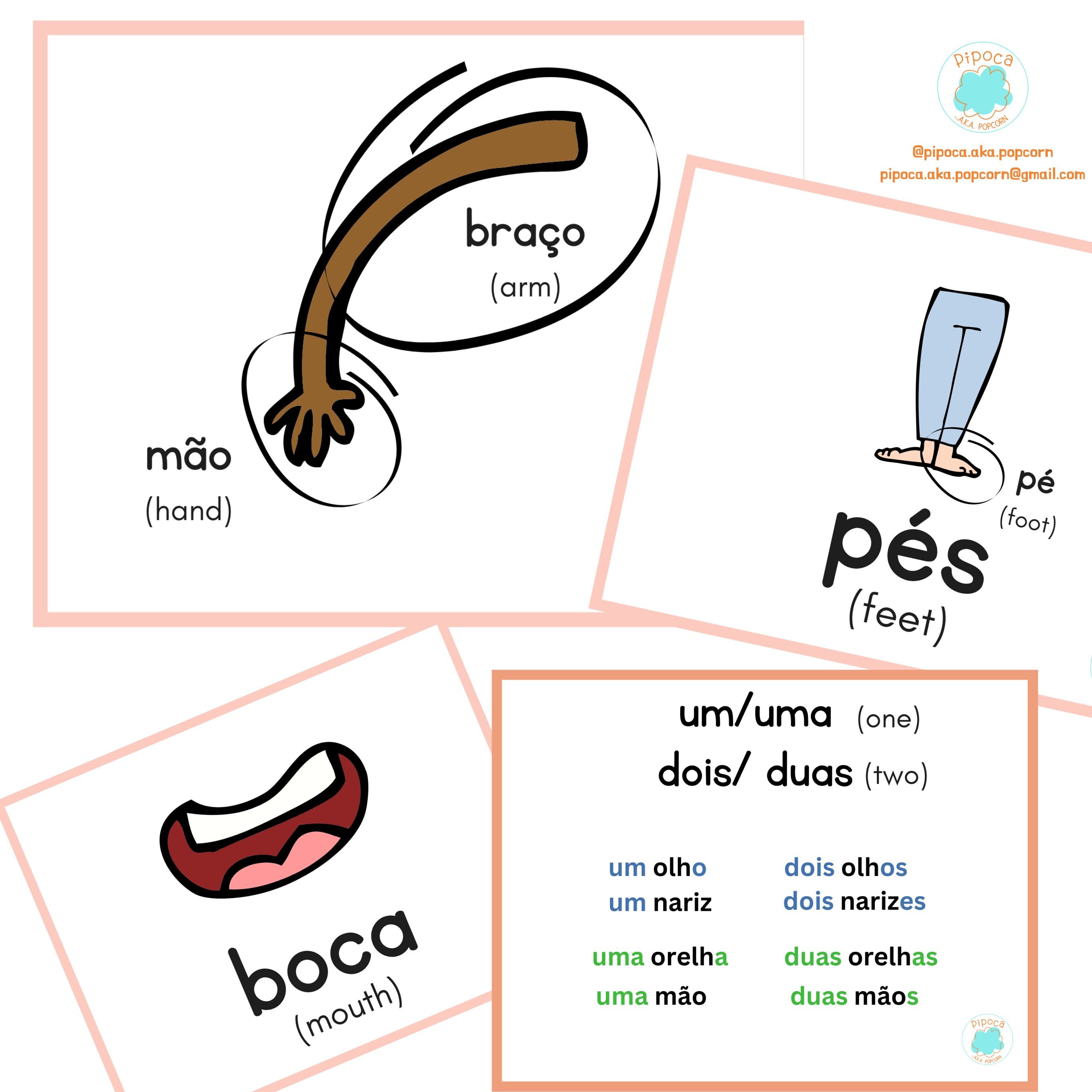 Bilingual Flashcards, Portuguese Body Parts Vocabulary, Portuguese ...