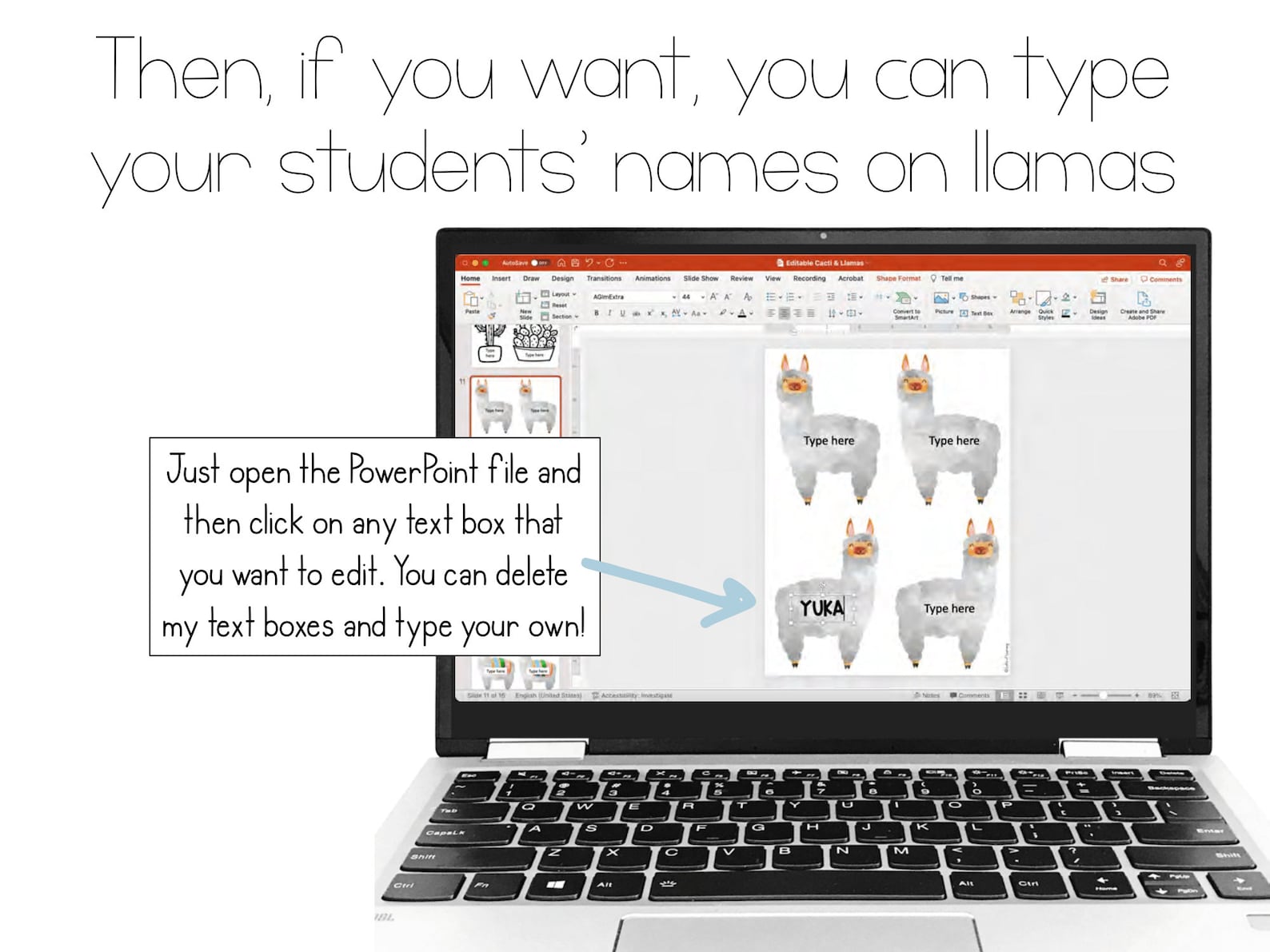 Back to School Bulletin Board Ideas Kits, Cactus Classroom Decor, Llama ...