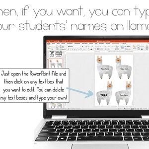 Back to School Bulletin Board Ideas Kits, Cactus Classroom Decor, Llama ...