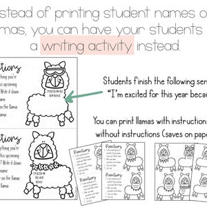 Back to School Bulletin Board Ideas Kits, Cactus Classroom Decor, Llama ...