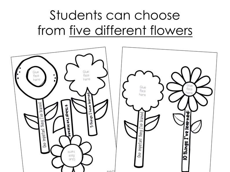 Spring Bulletin Board Kit Bulletin Board Ideas Spring Flower Craft ...