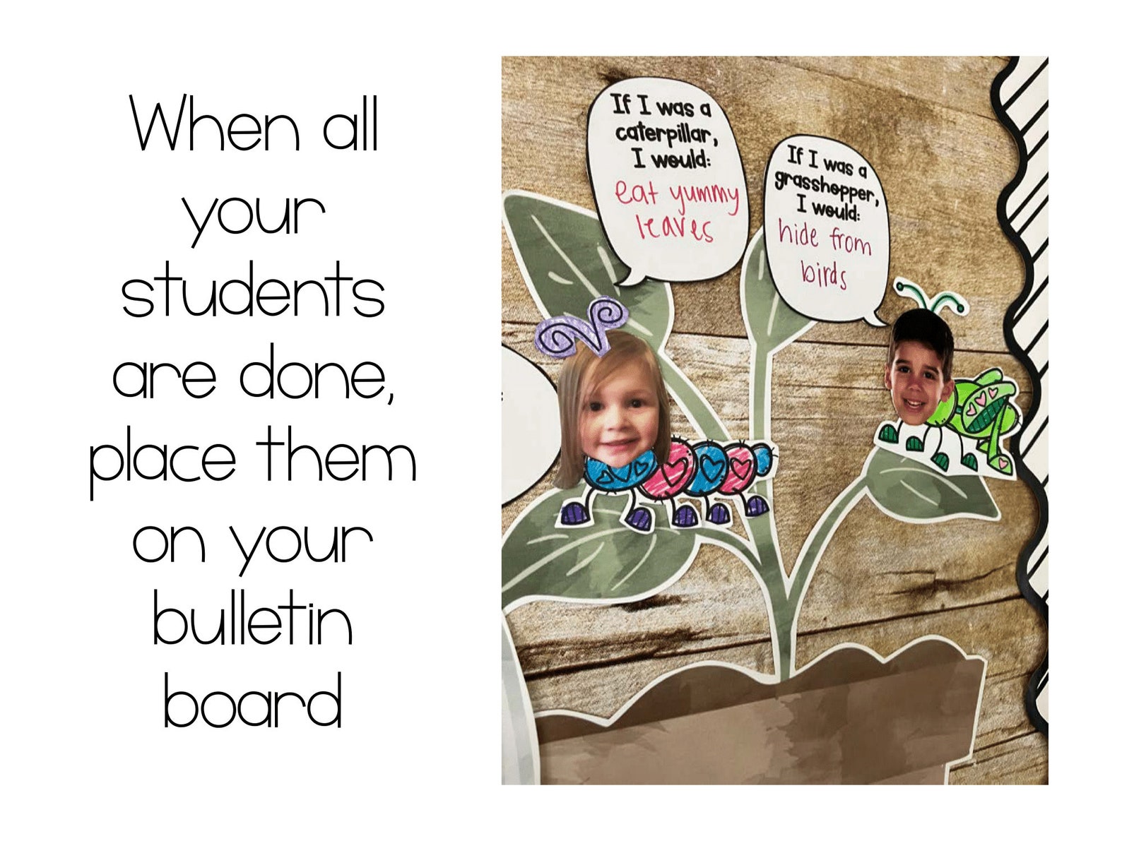 Valentine's Day Bulletin Board Door Decor Love Bug Craft Out of This ...