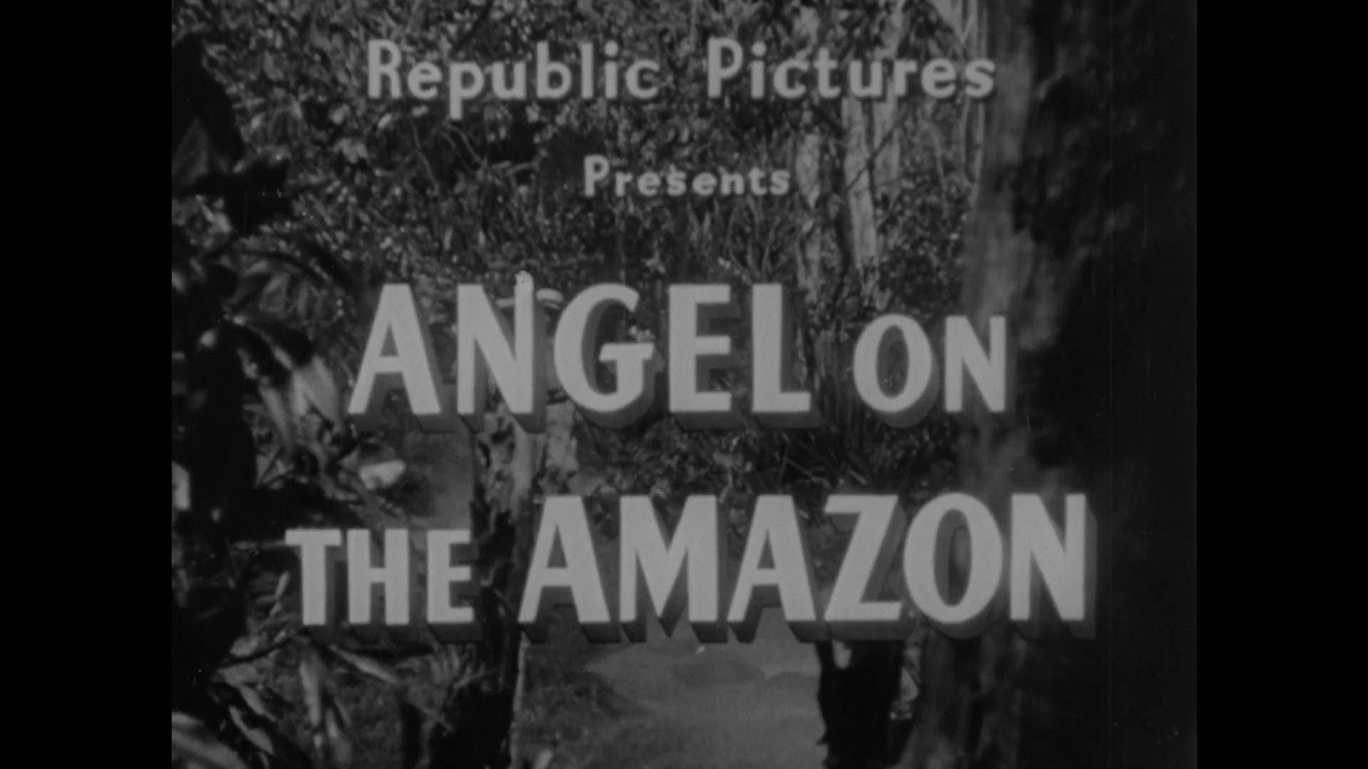 Angel on the Amazon BDR/DVDR Combo - Etsy