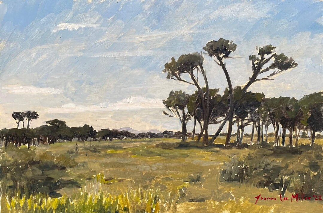 Rondebosch Common Pine Trees - Etsy