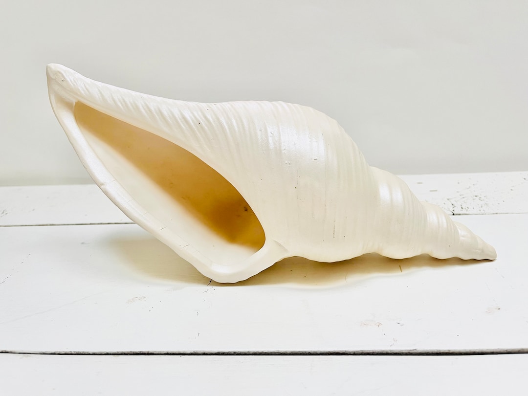 Large Ceramic Seashell Shell Horse Conch Pearl White Pottery Decor ...