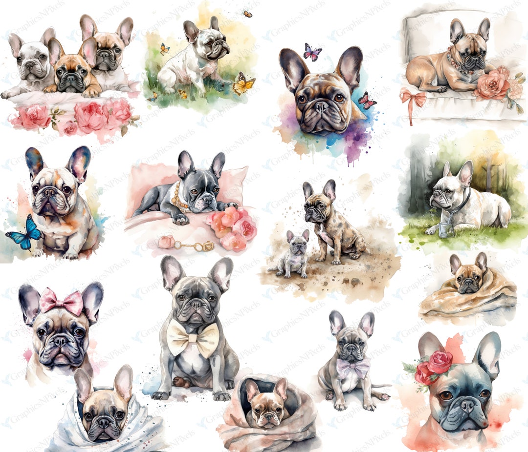 Watercolor Transparent Frenchies Bulldogs Clipart Cute - Etsy