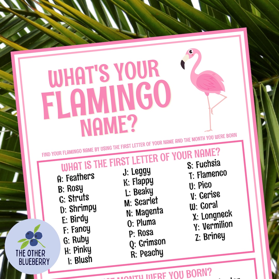 What's Your Flamingo Name Game With Name Tags & Sign | Flamingo Game ...