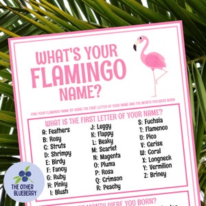 What's Your Flamingo Name Game With Name Tags & Sign | Flamingo Game ...
