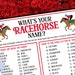 What's Your Racehorse Name Party Game With Name Tags & Sign | Kentucky ...
