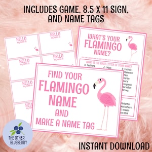 What's Your Flamingo Name Game With Name Tags & Sign | Flamingo Game ...