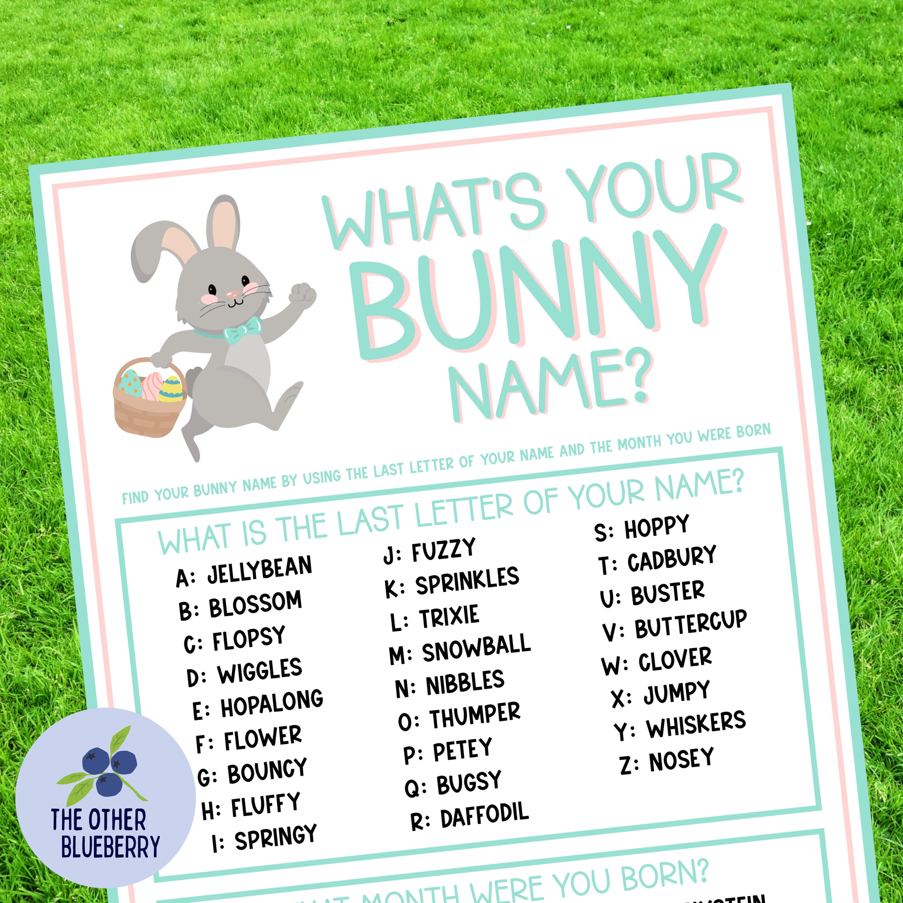What's Your Bunny Name Party Game With Name Tags & Sign Easter Game ...