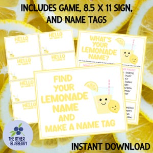 What's Your Lemonade Name Game With Name Tags & Sign | Lemonade Bar ...