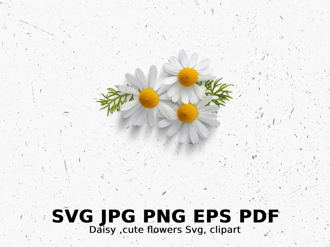 Daisy SVG Clipart, Cute Flower Digital Download, Floral Vector Graphic ...