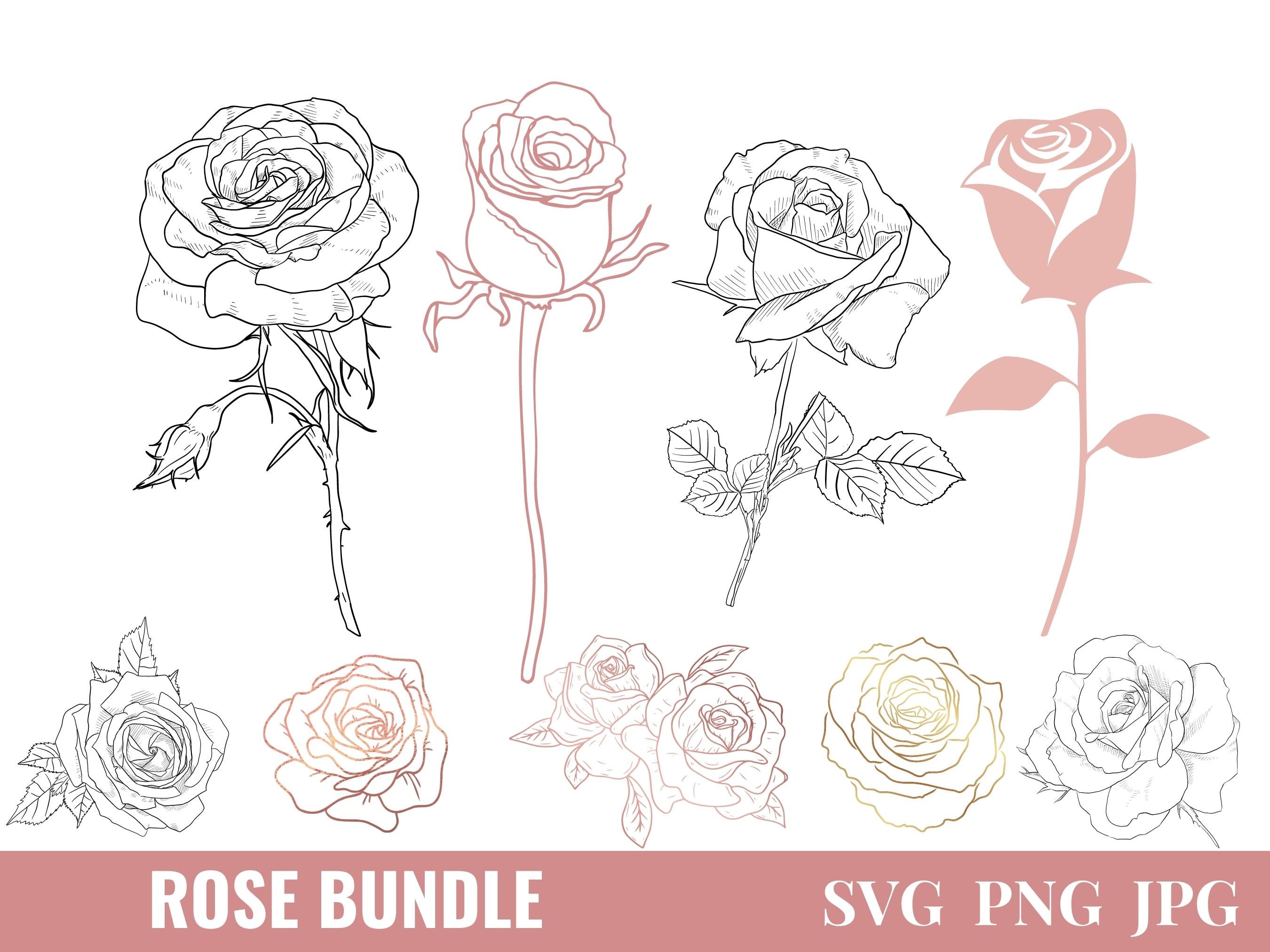 ROSE SVG Bundle, ROSES Svg Bundle, Rose Clipart Bundle, Rose Svg Cut ...