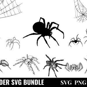 Spider Web SVG / Spiders and Spider Web SVG Files / Clipart PNG ...