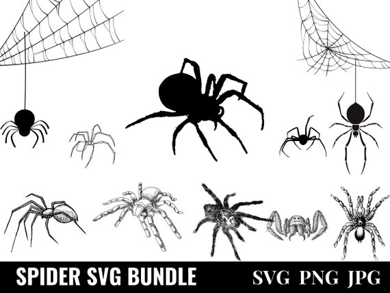 Spider Web SVG / Spiders and Spider Web SVG Files / Clipart - Etsy
