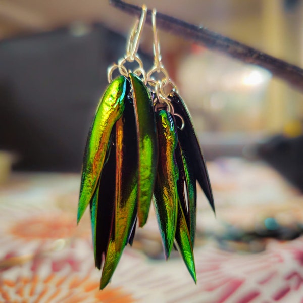 Gold Beetle Wing Earrings - Etsy
