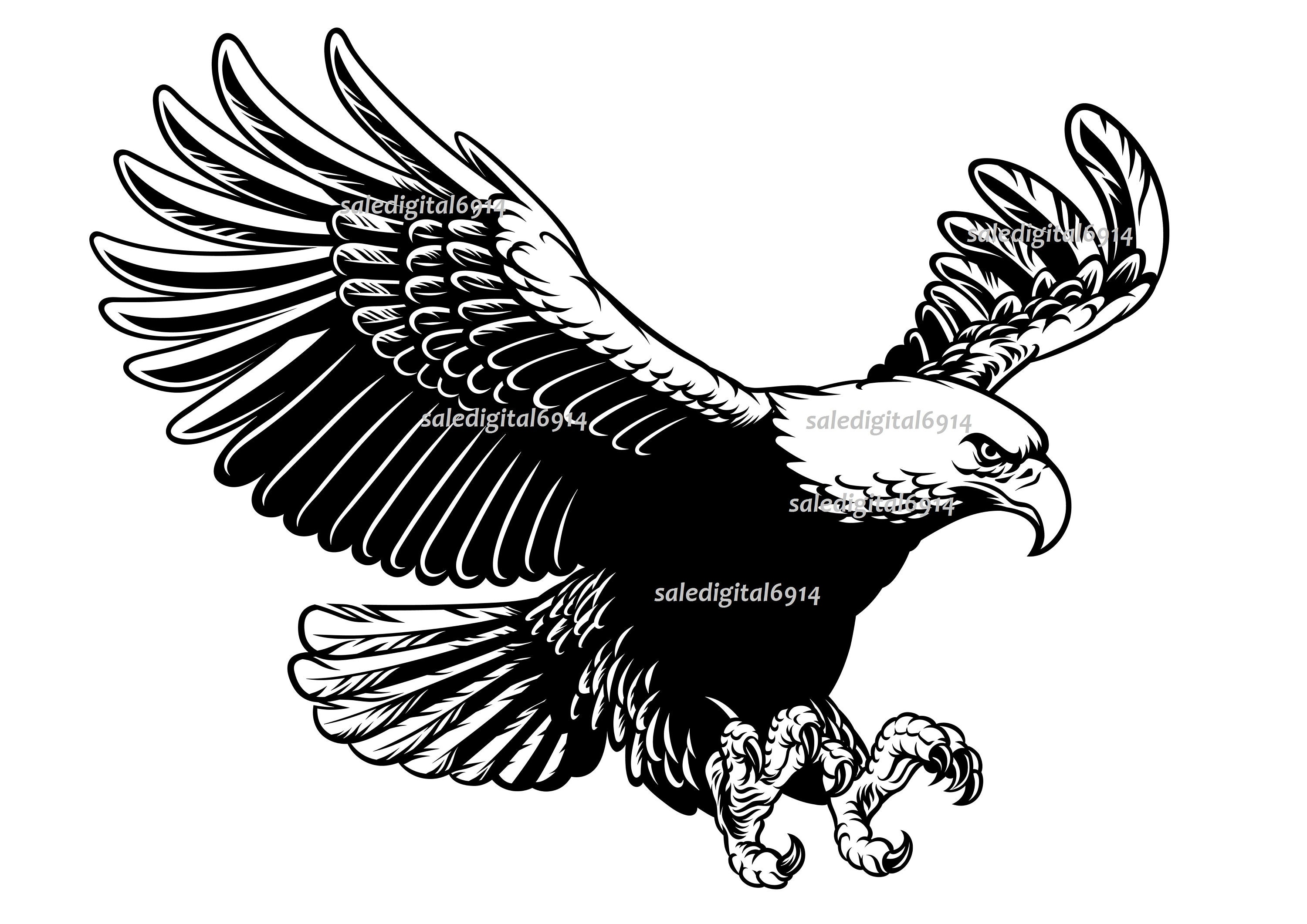 Flying Eagle Art