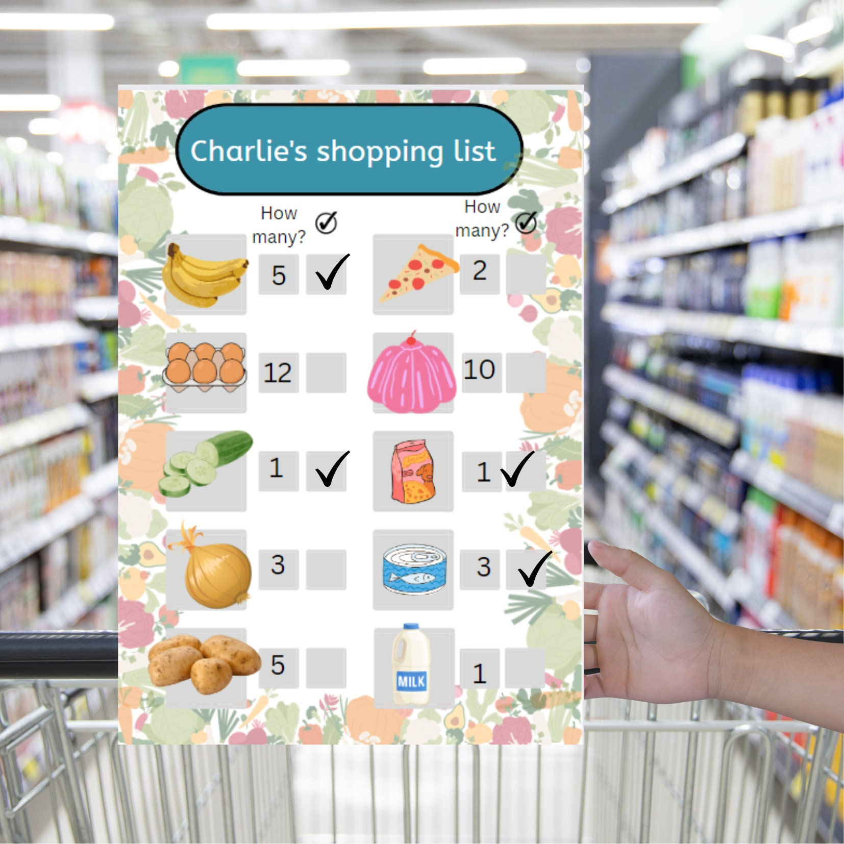 Children's Printable Visual Shopping List. Montessori. Special Needs ...