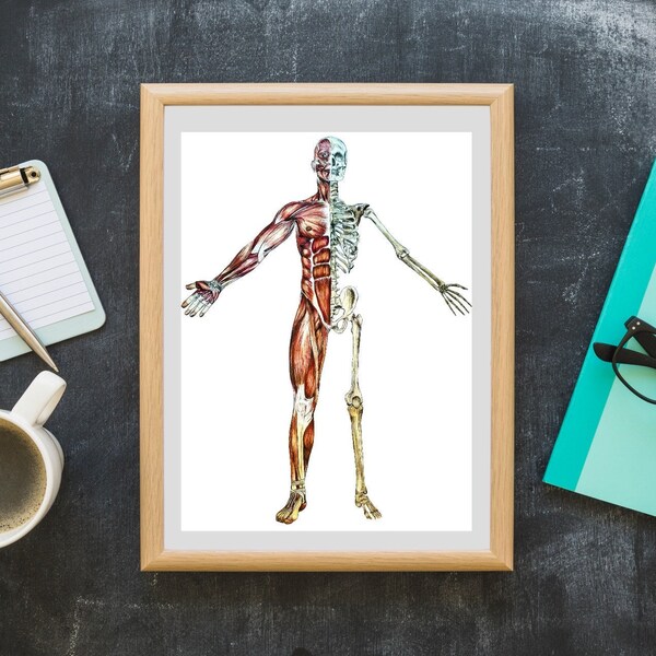 Orthopedic Printable Art - Etsy