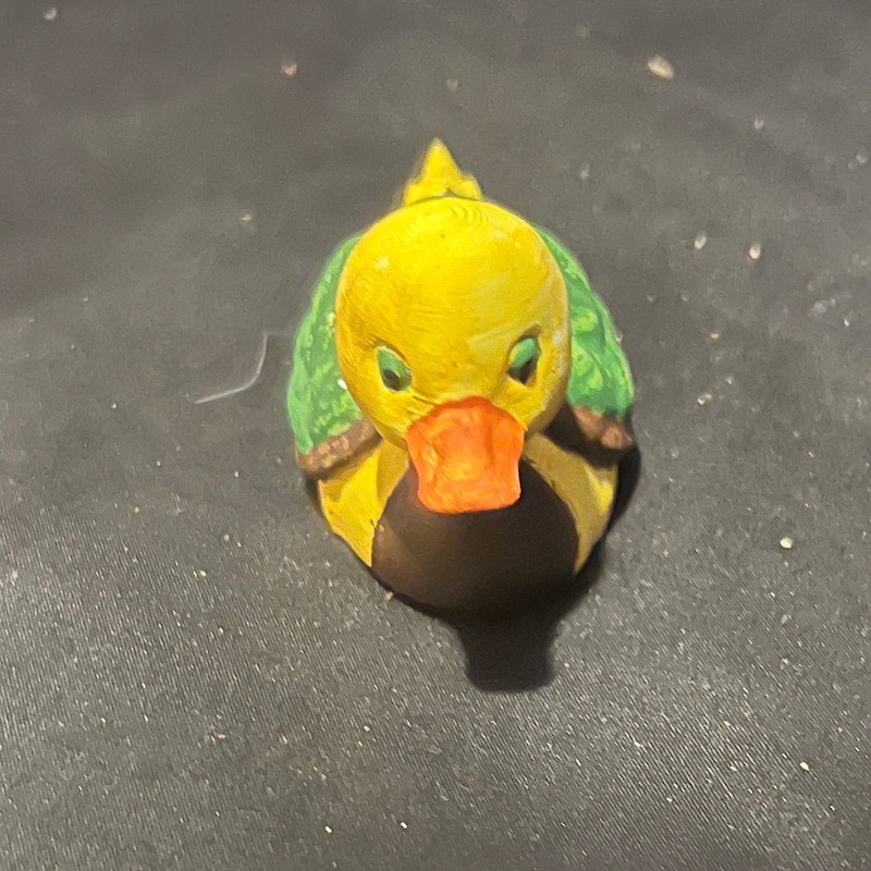 Turtle Duck Avatar - Etsy