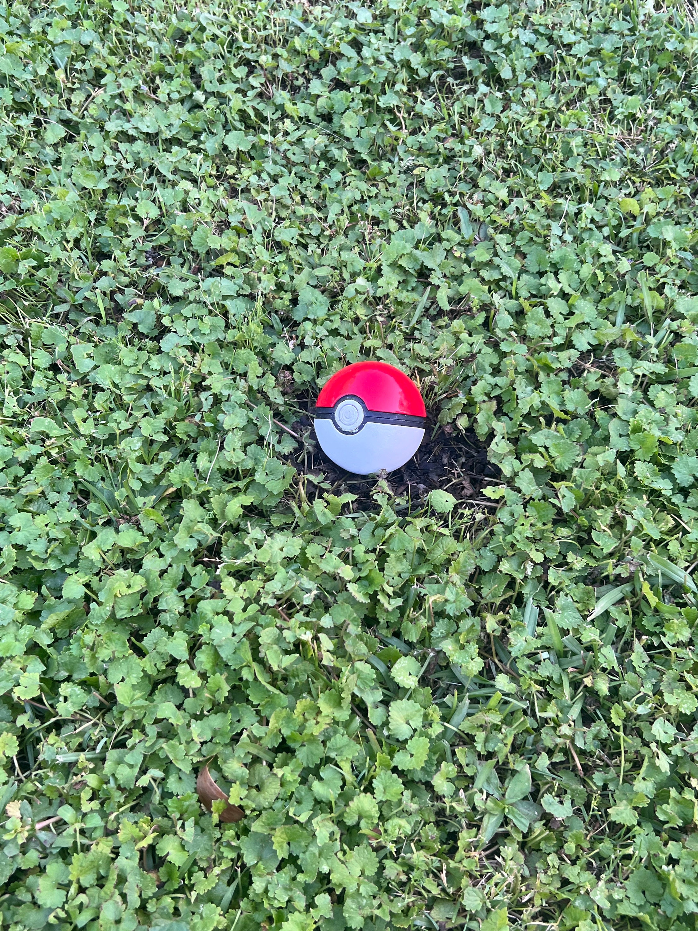 Pokeball free Shipping, Custom Colors, Custom Engraving / Custom ...